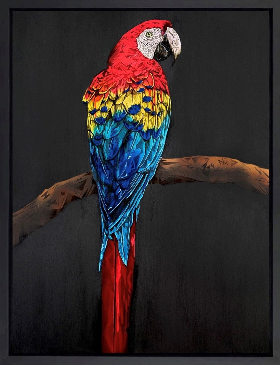 Sound And Vision | Stephen Ford - Clarendon Fine Art