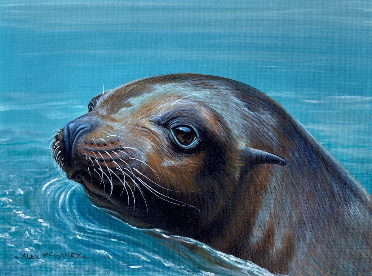Emerged | Alex McGarry – Clarendon Fine Art