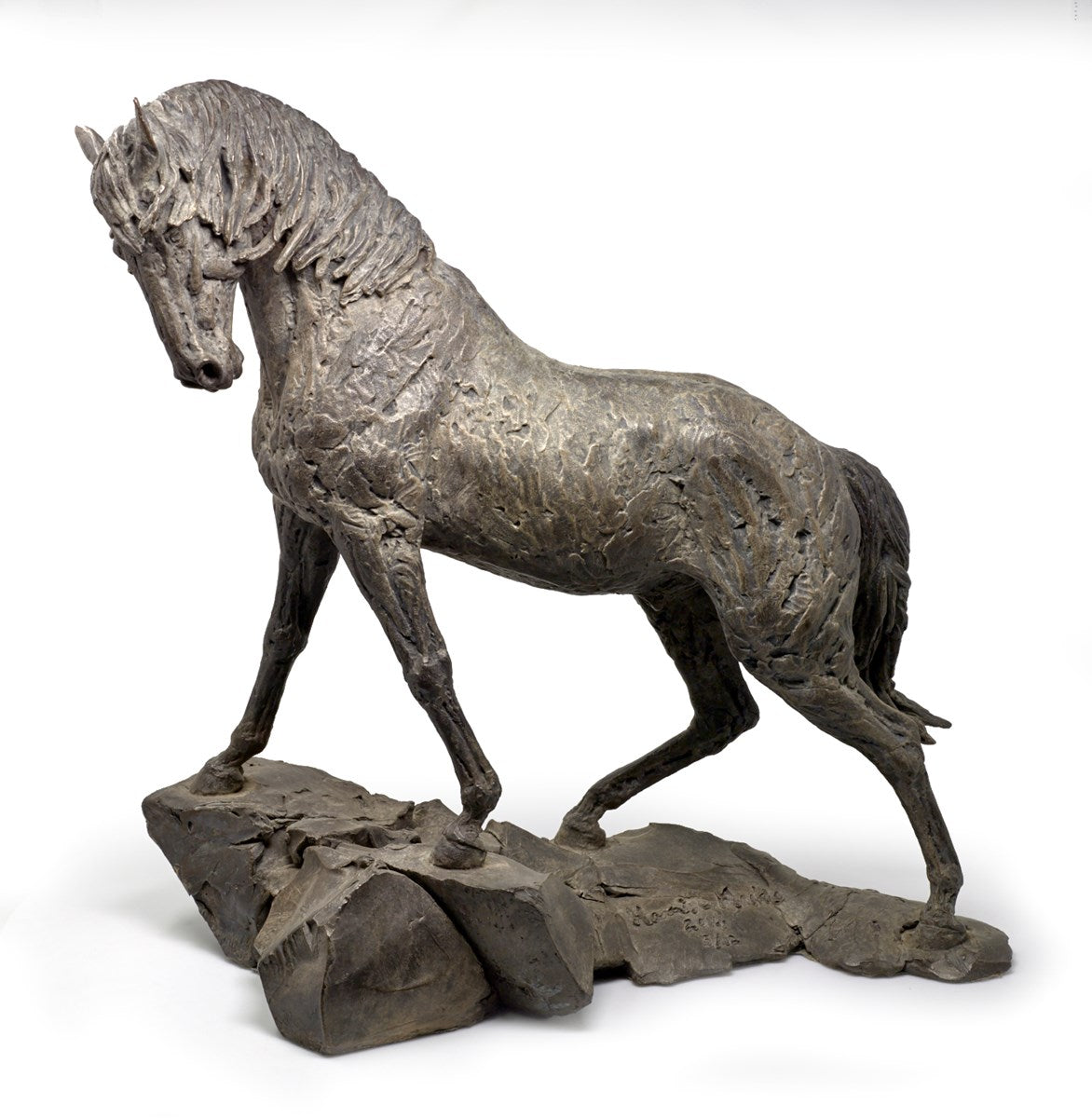 Goodman's Andalusian Stallion Scale 1:7 | Hamish Mackie – Clarendon ...