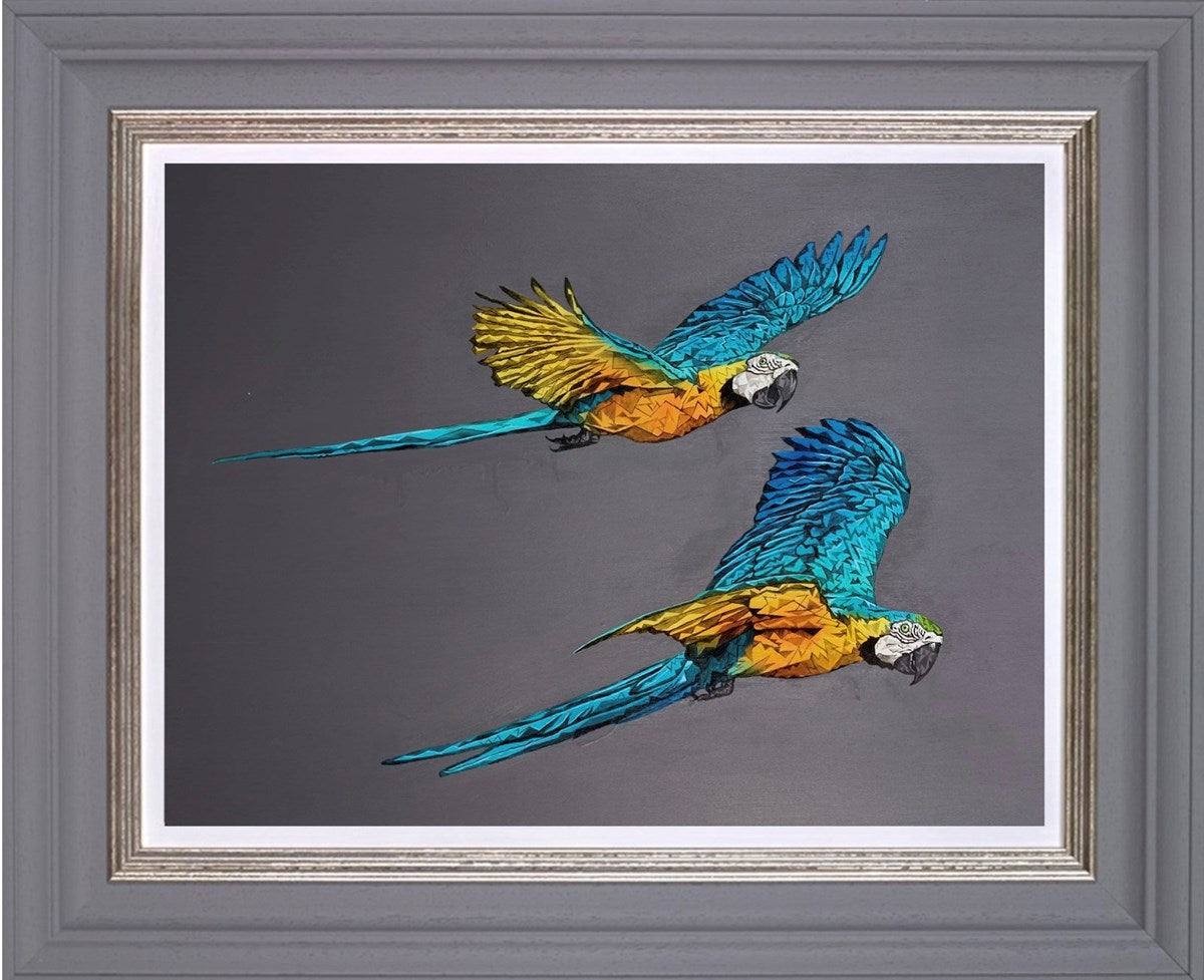 Flying | Stephen Ford - Clarendon Fine Art