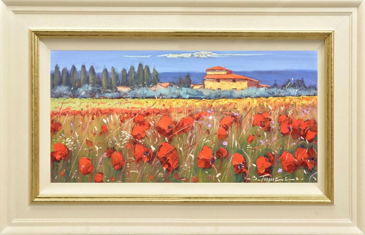 Vista Panoramica Del Papavero | Bruno Tinucci – Clarendon Fine Art