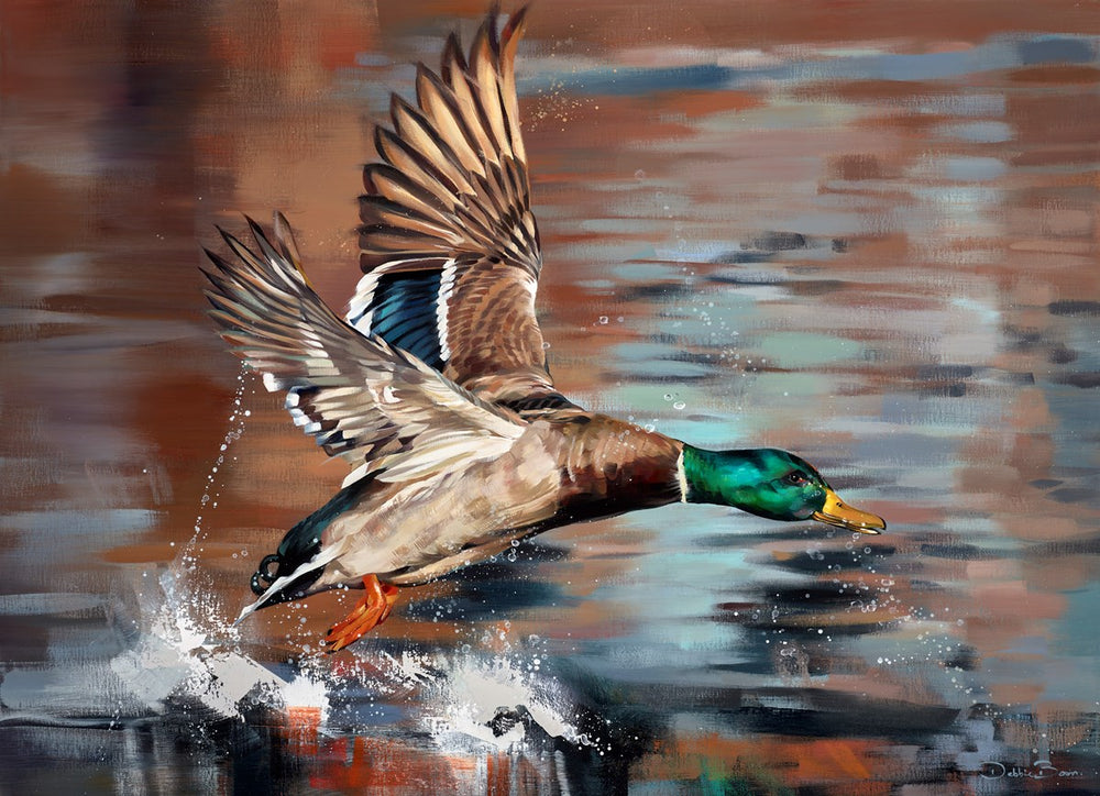 Flying Start | Debbie Boon – Clarendon Fine Art