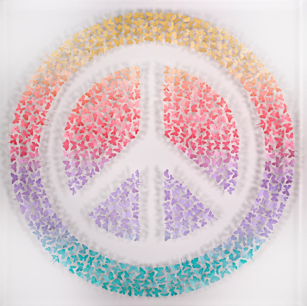 Peace Maker | Charles Patrick - Clarendon Fine Art