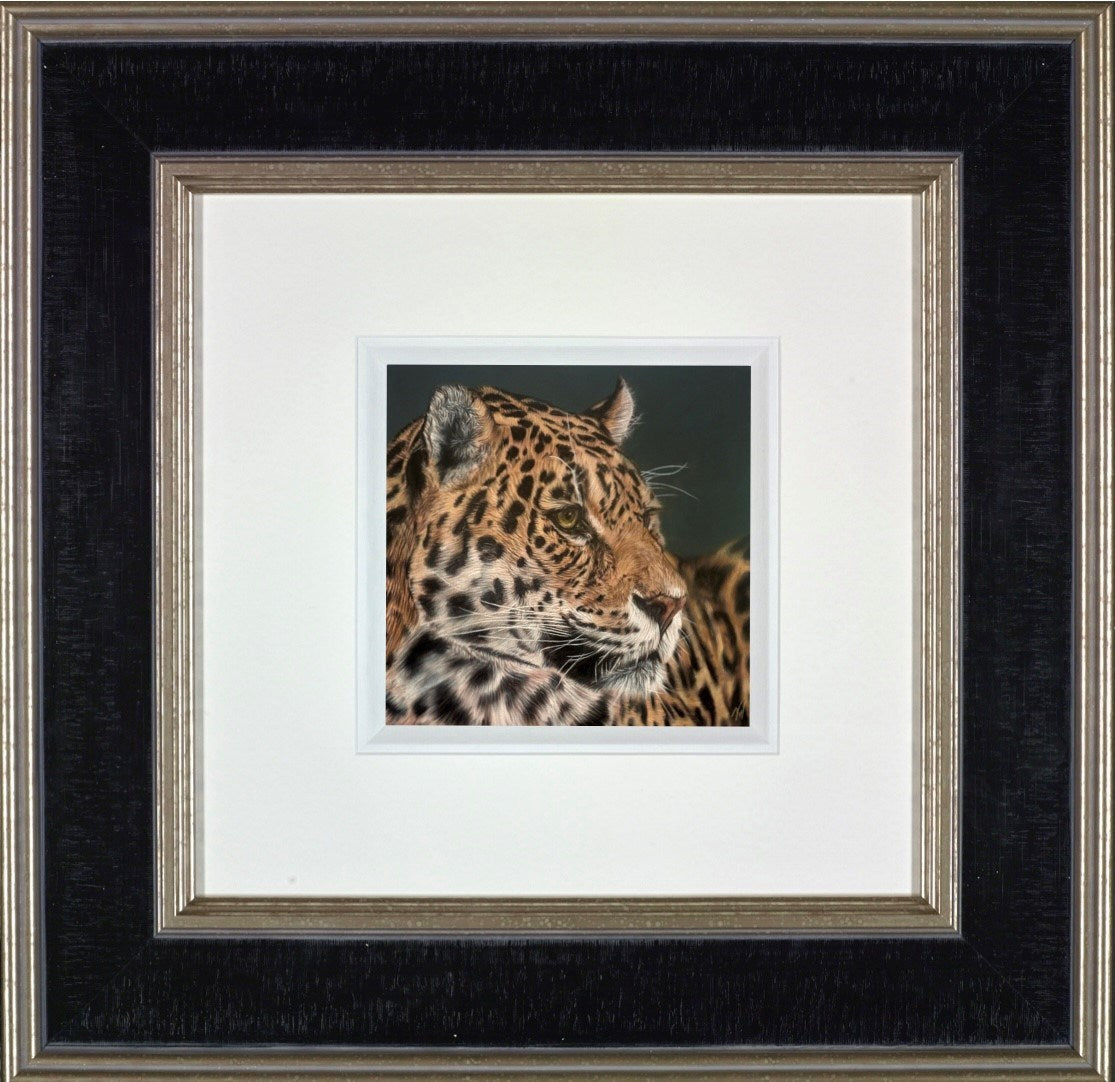 Dignified | Valerie Simms – Clarendon Fine Art
