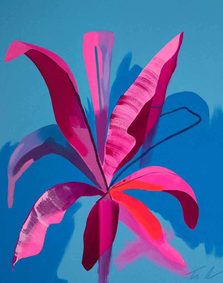 Hot Summer | Tim Fowler - Clarendon Fine Art