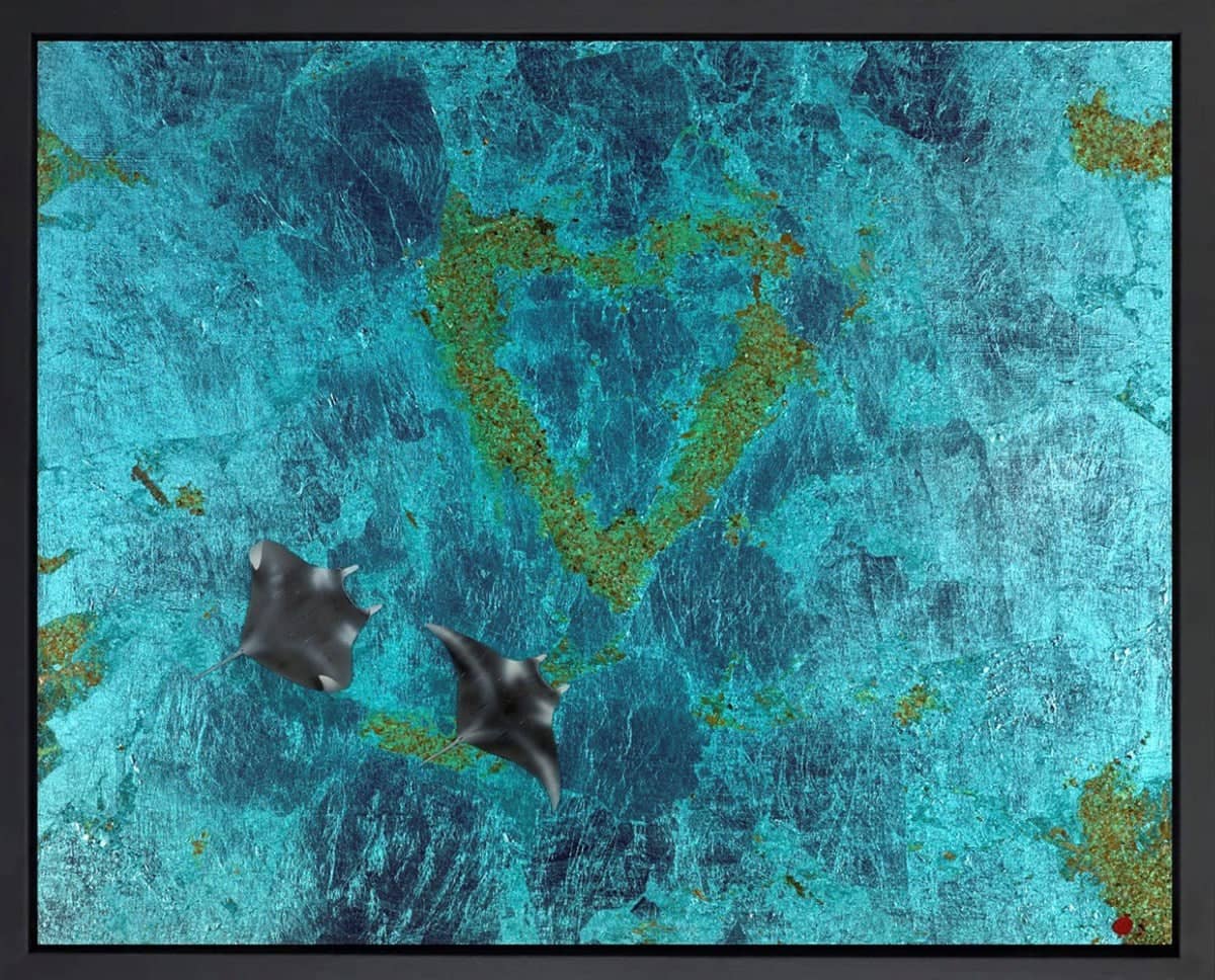 Heart Of The Reef | Nick Oneill – Clarendon Fine Art