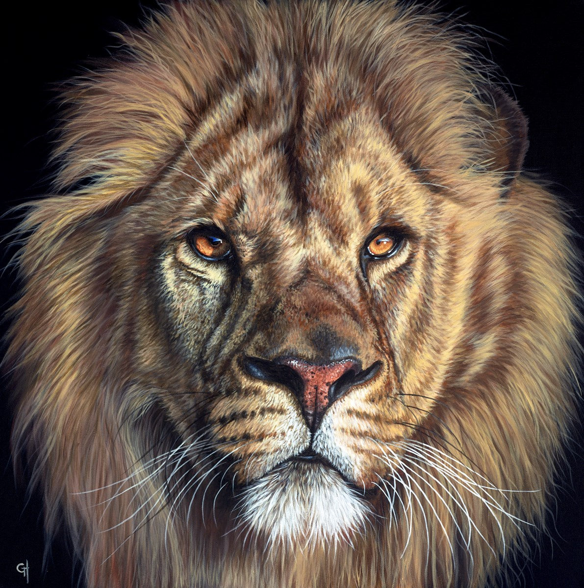 Aslan II | Gina Hawkshaw – Clarendon Fine Art