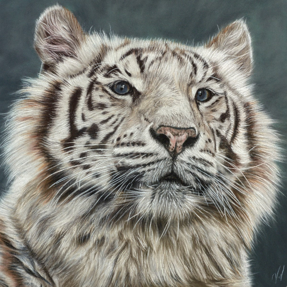 Ready To Explore | Valerie Simms – Clarendon Fine Art