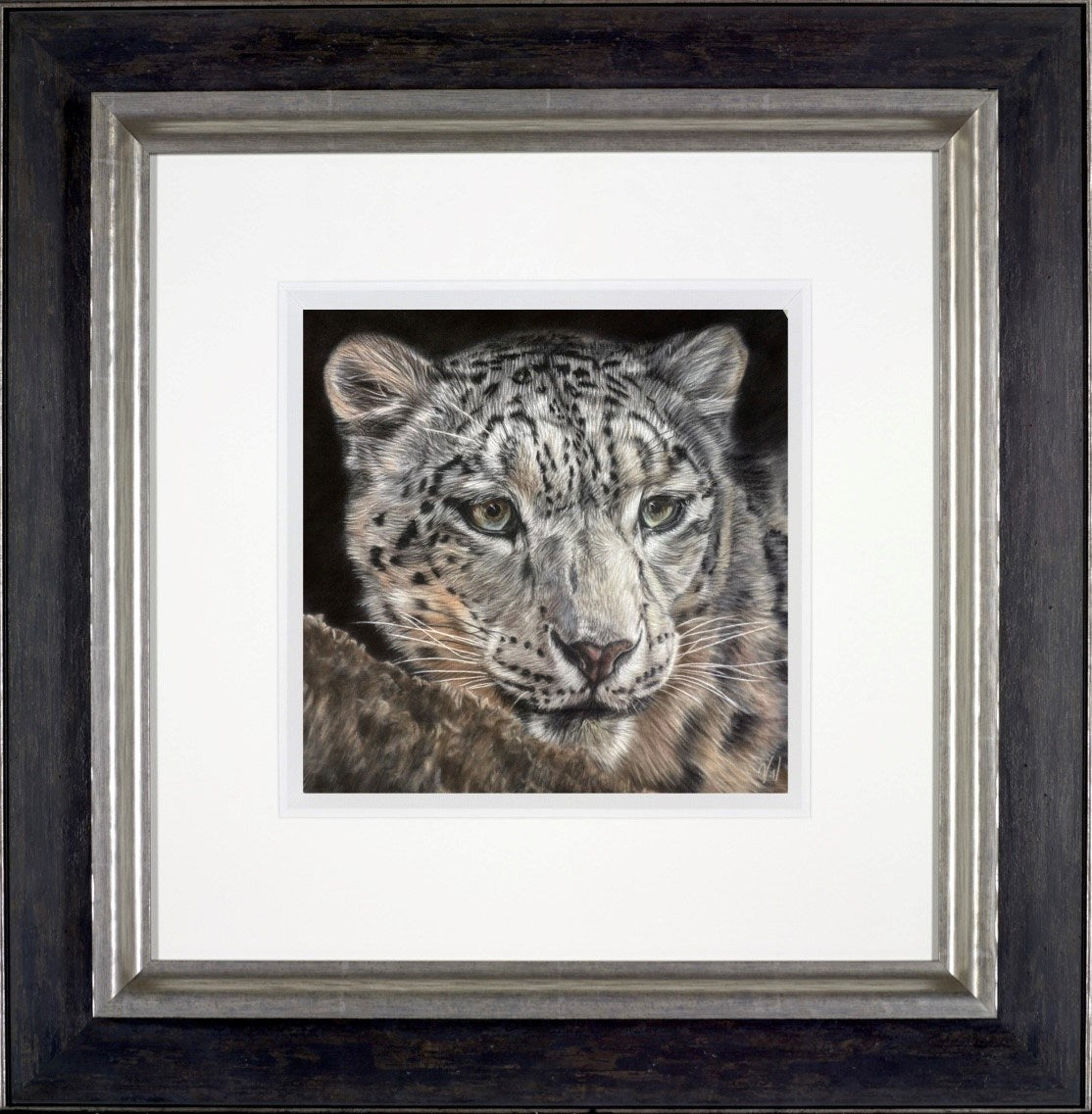 Emergence | Valerie Simms – Clarendon Fine Art