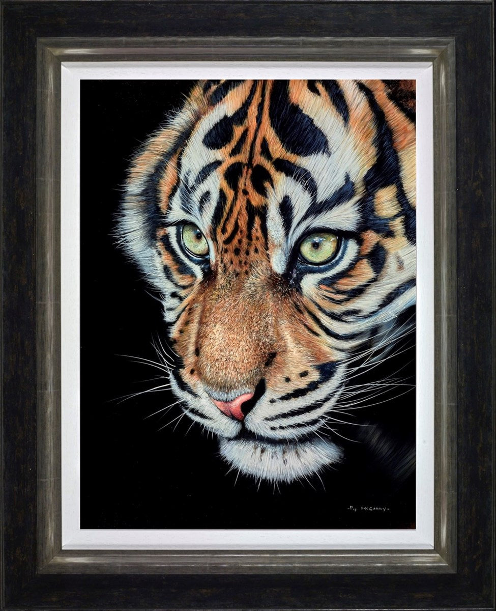 Tiger Cub Study | Pip McGarry - Clarendon Fine Art