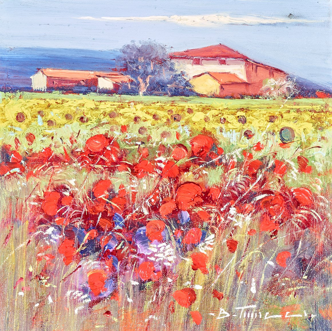 Campi Di Papavero Italiano III | Bruno Tinucci – Clarendon Fine Art