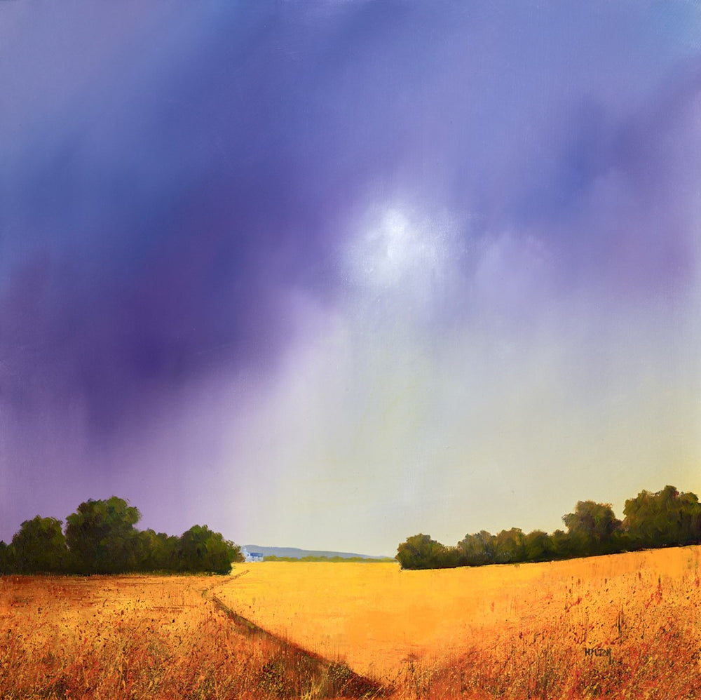 Summer Yellows | Barry Hilton – Clarendon Fine Art