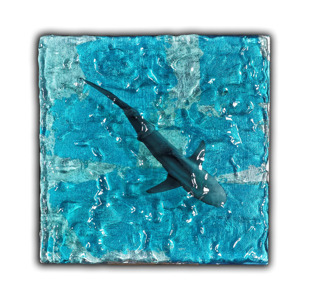 Evening Swim | Nick Oneill – Clarendon Fine Art