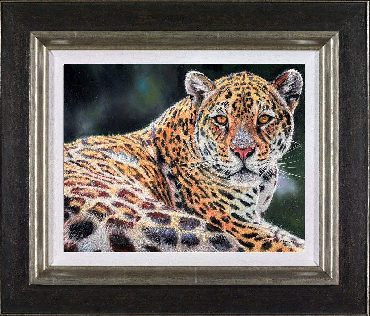 Mr Cool (Jaguar) | Pip McGarry – Clarendon Fine Art