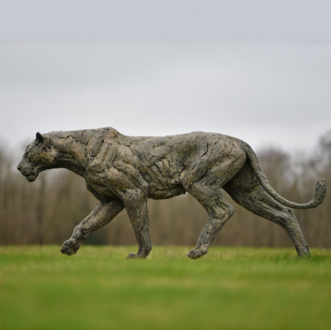 Lioness Life Size - 2019 | Hamish Mackie – Clarendon Fine Art