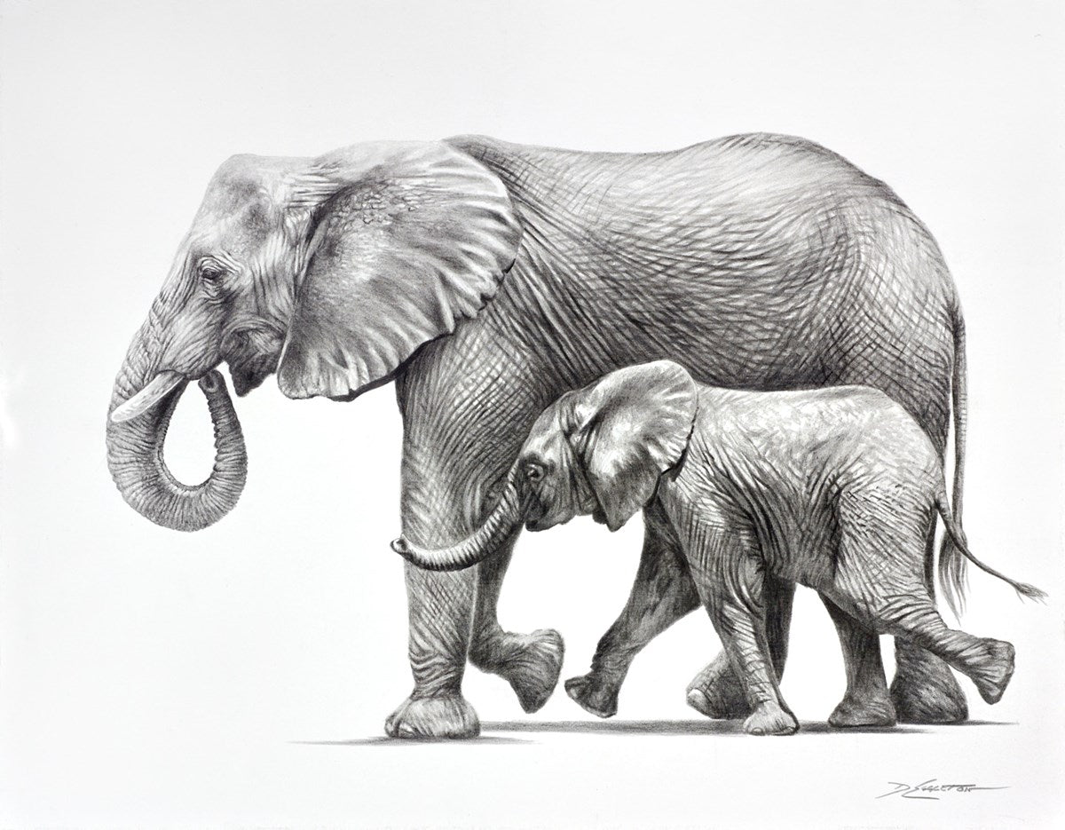 Elephants Happy Together | Darryn Eggleton - Clarendon Fine Art