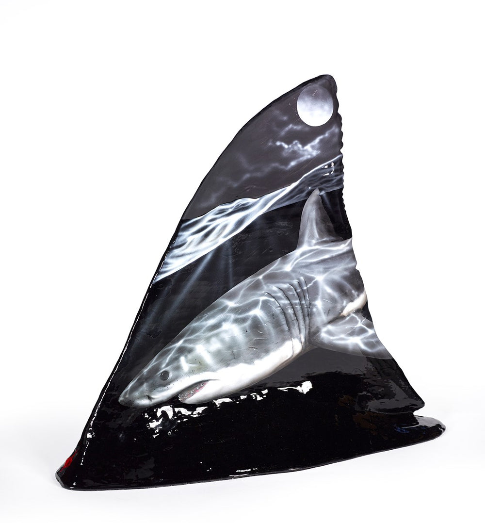 Shark Fin | Nick Oneill – Clarendon Fine Art