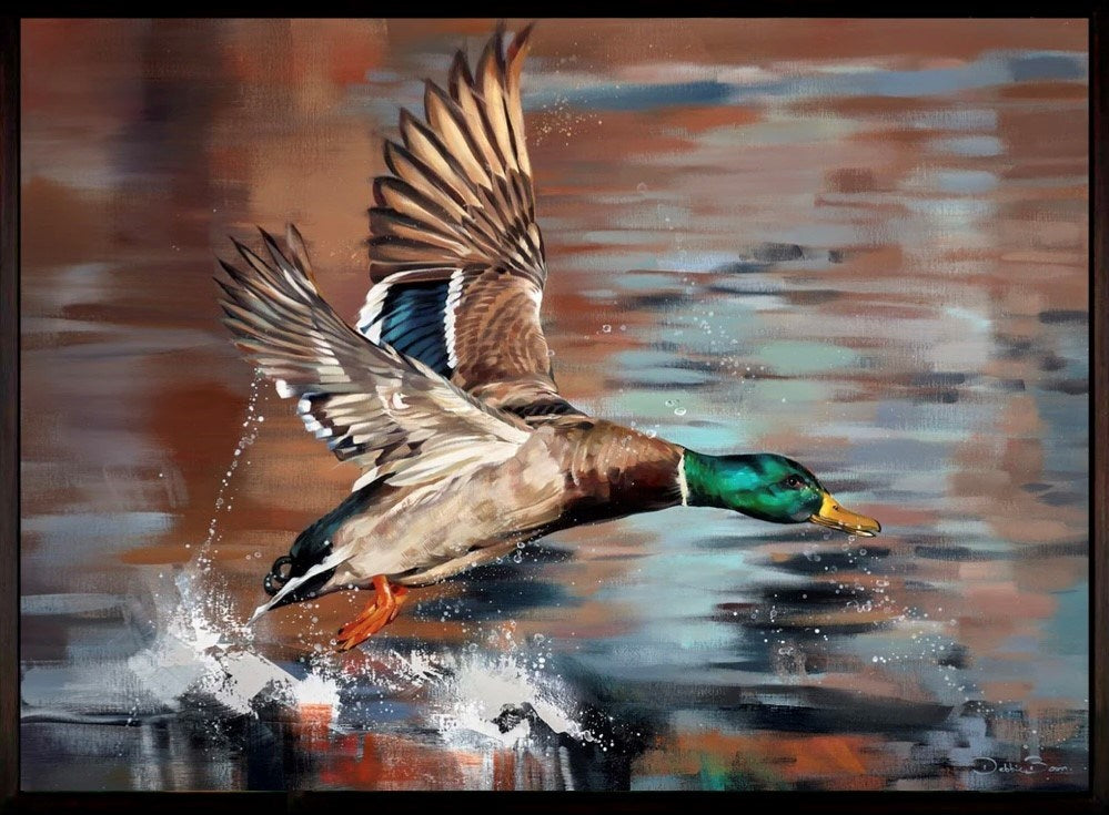 Flying Start | Debbie Boon - Clarendon Fine Art