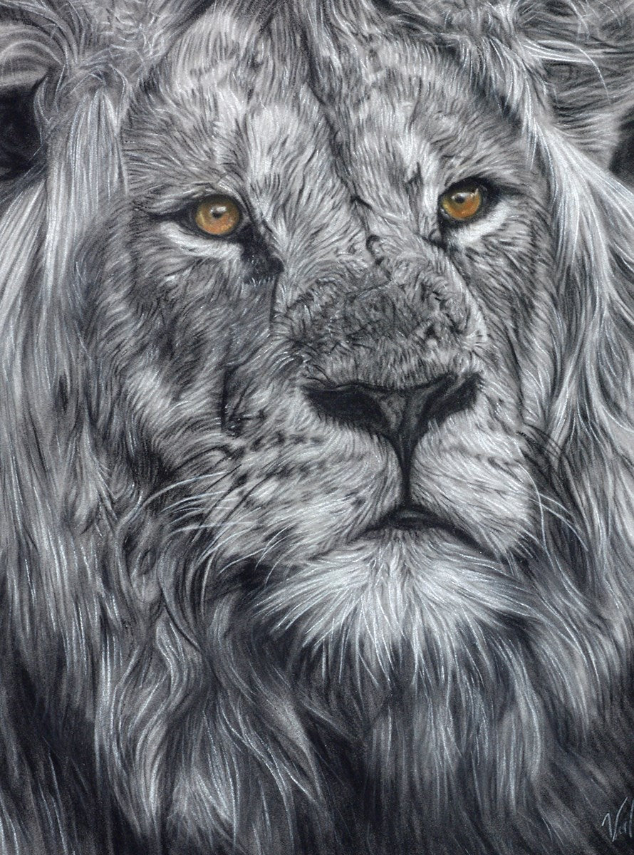 Tangerine | Valerie Simms – Clarendon Fine Art