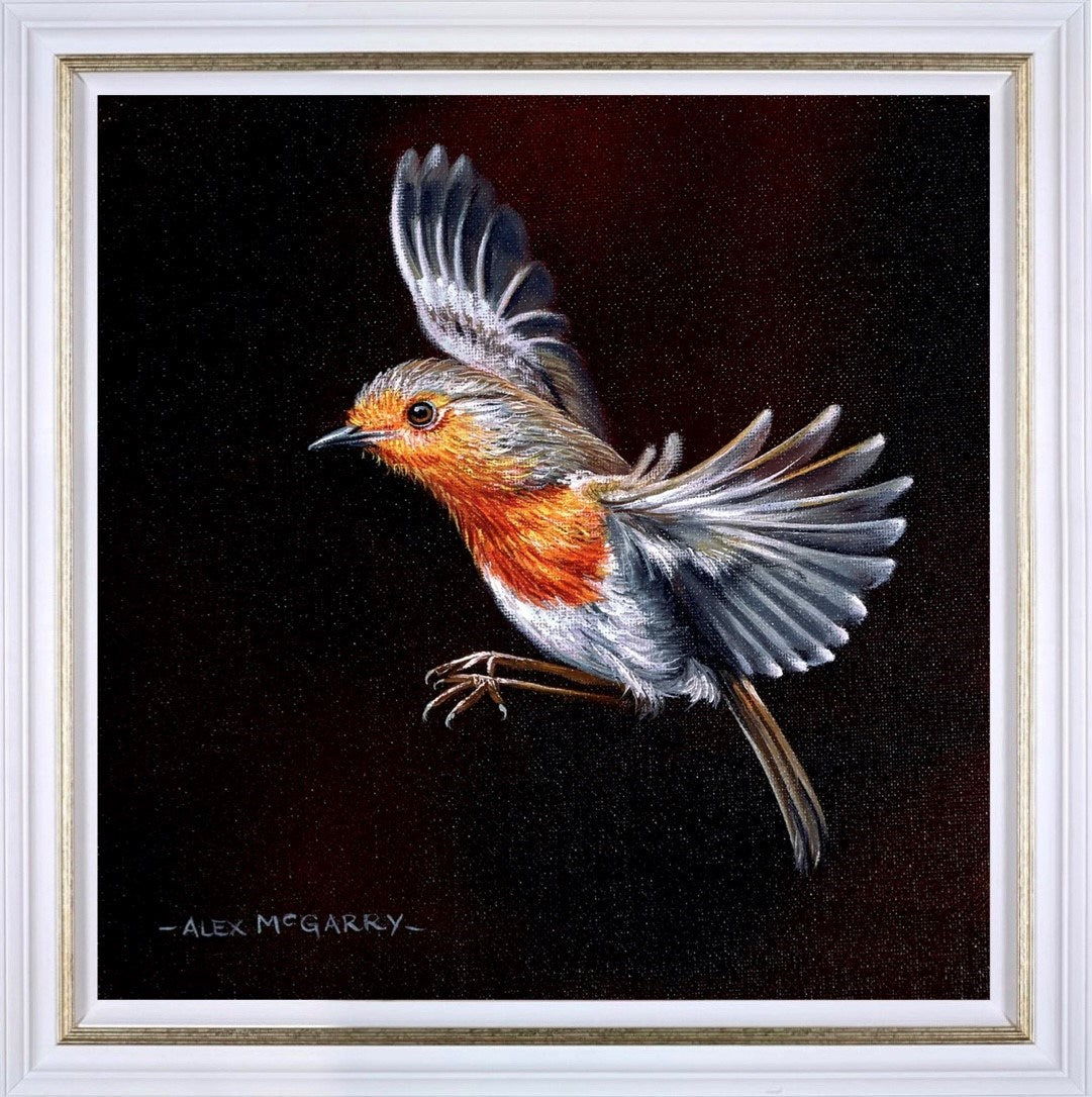 Robin In Flight | Alex McGarry - Clarendon Fine Art