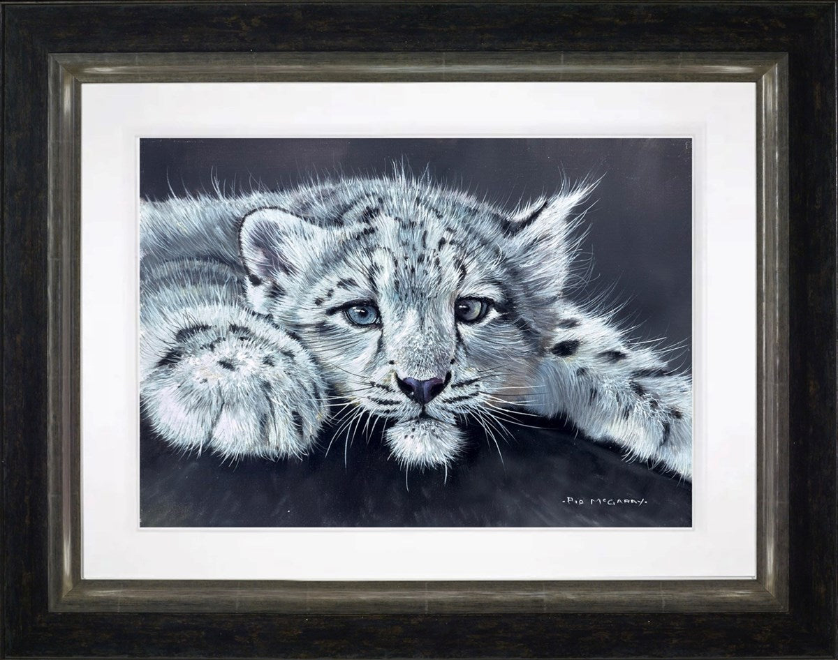 Snow Leopard Cub | Pip McGarry - Clarendon Fine Art