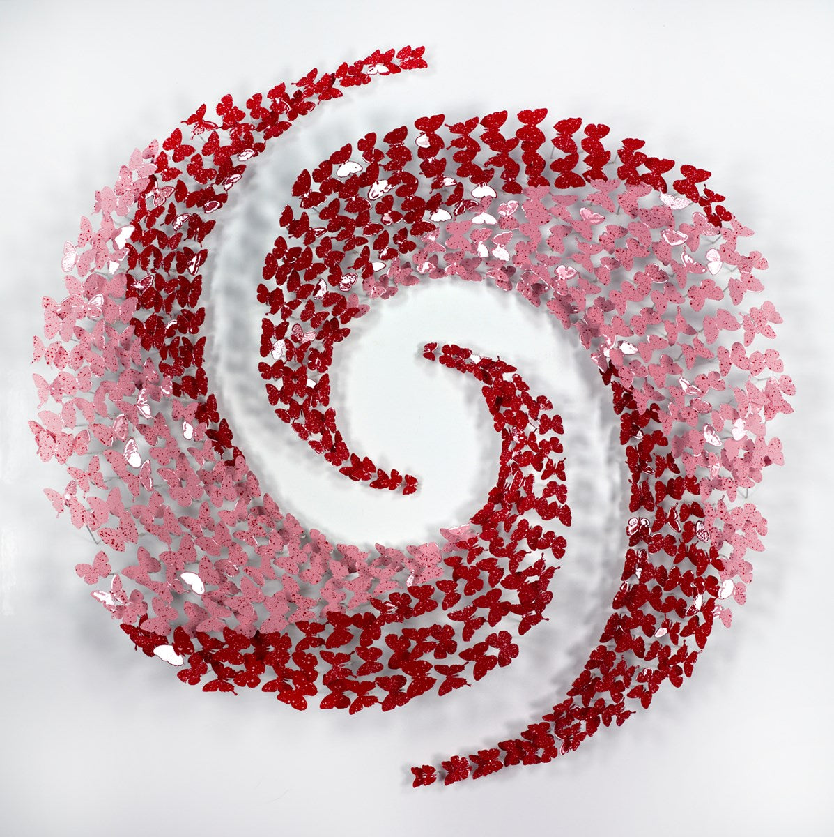 Pink And Red Spiral | Marcus Botbol – Clarendon Fine Art