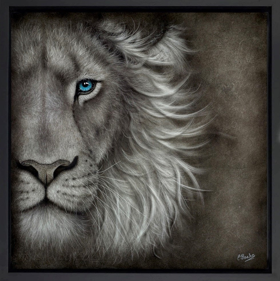 Endless Patience | Colin Banks – Clarendon Fine Art