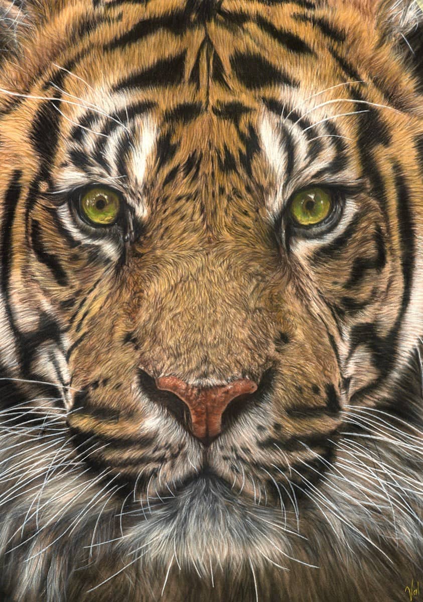 Survival | Valerie Simms – Clarendon Fine Art