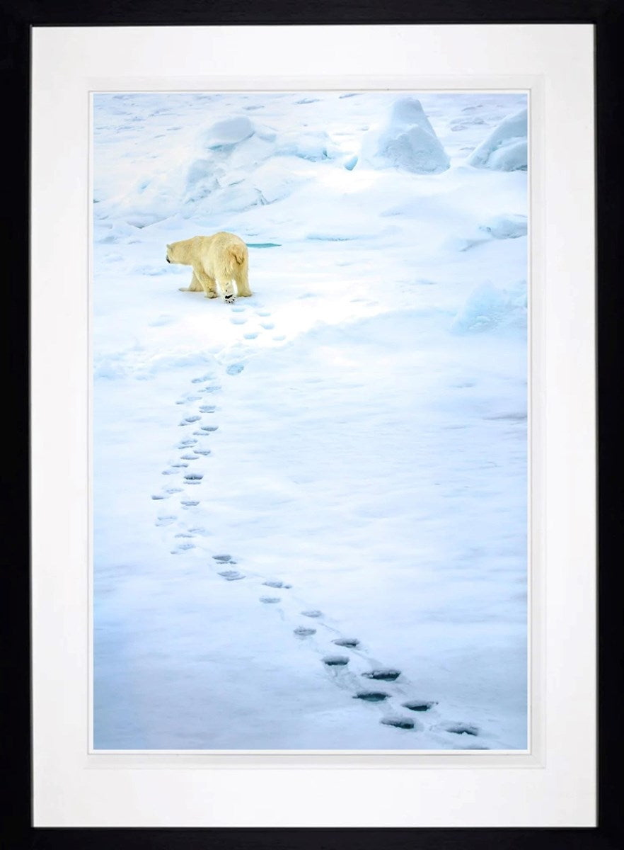 The Path Less Trodden | Harry Skeggs - Clarendon Fine Art