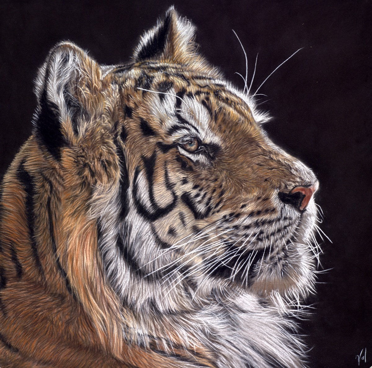 Grand Presence | Valerie Simms – Clarendon Fine Art