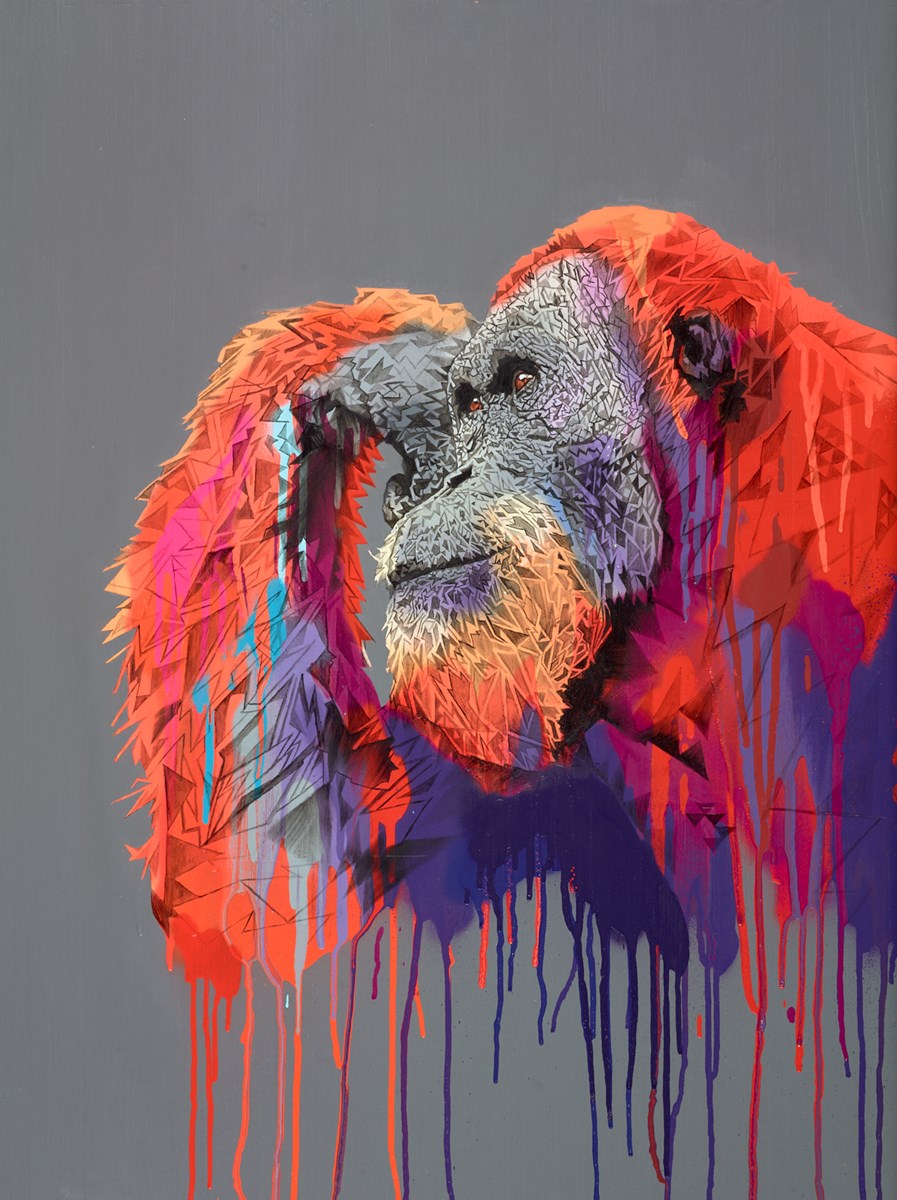 Superstar | Stephen Ford - Clarendon Fine Art