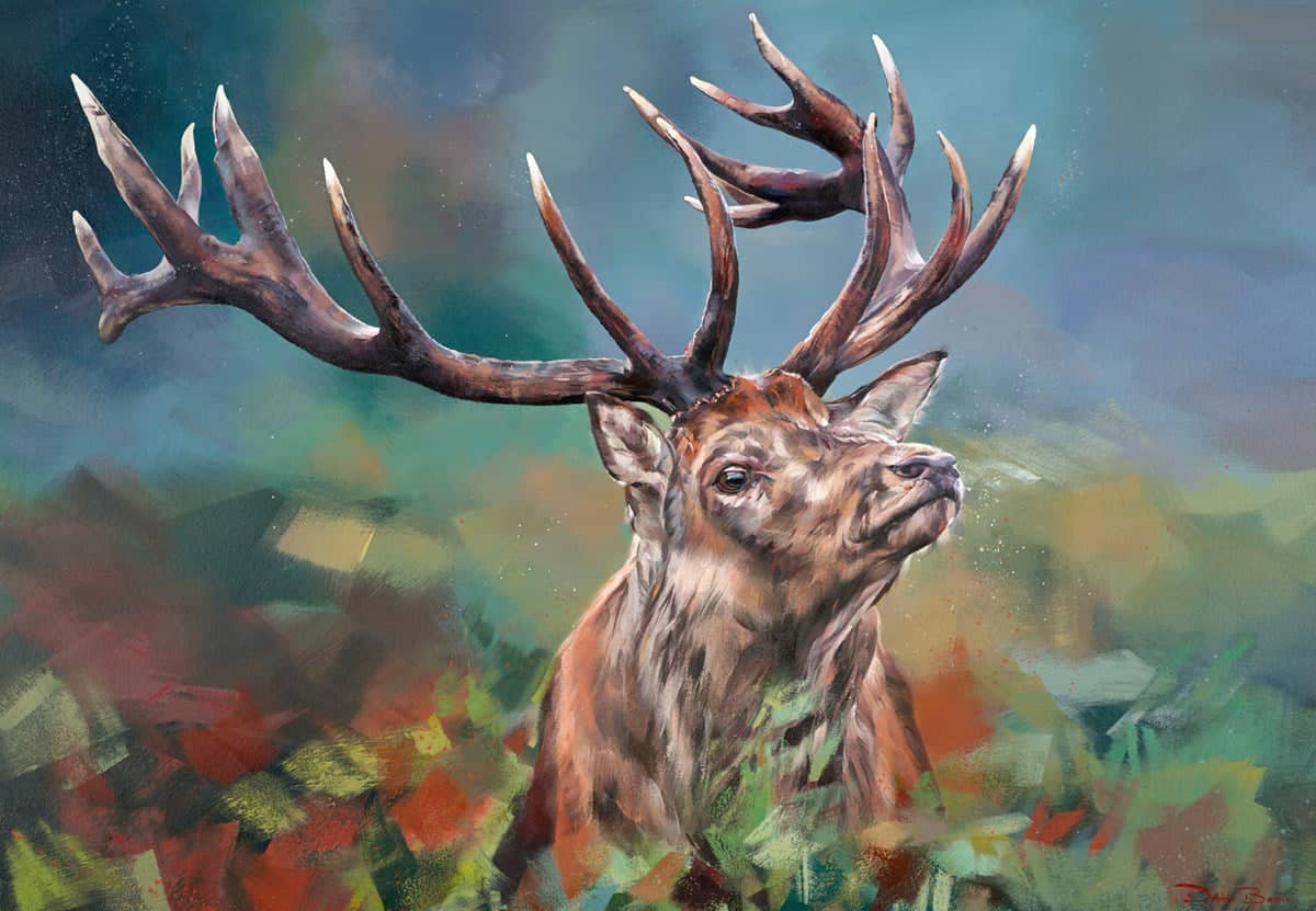 Stag | Debbie Boon – Clarendon Fine Art