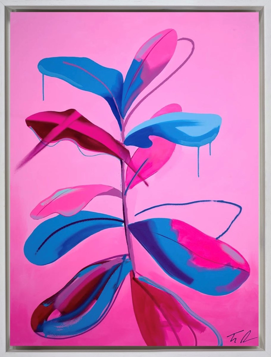 Pink Toned Garden | Tim Fowler - Clarendon Fine Art