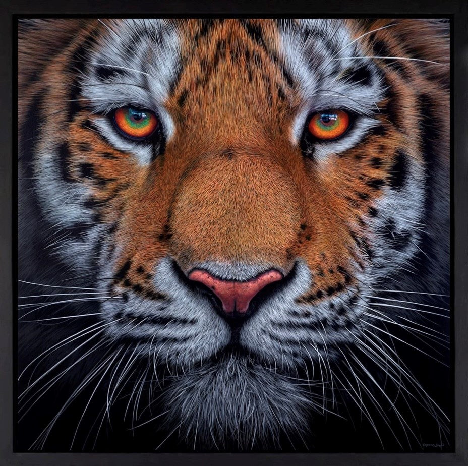 Eye Of The Tiger | Christopher Green - Clarendon Fine Art