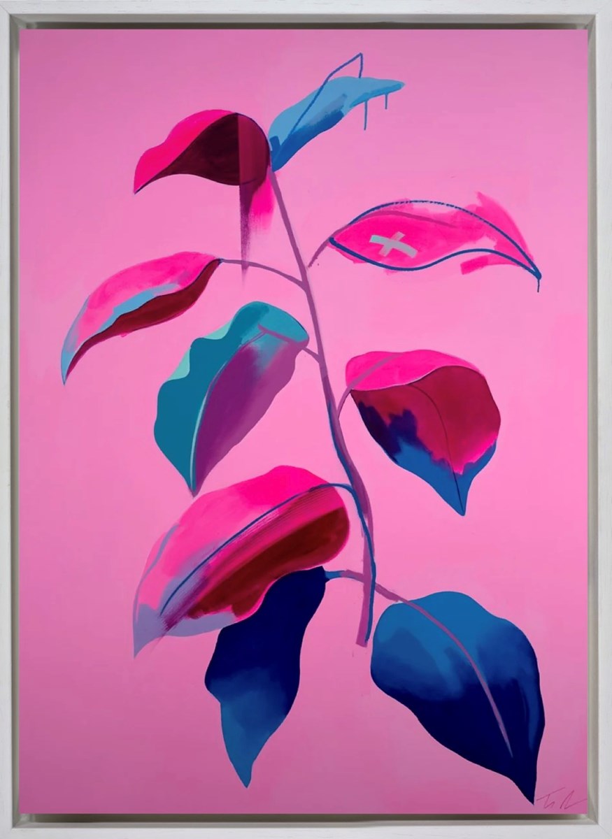 Pink Mercedes | Tim Fowler – Clarendon Fine Art
